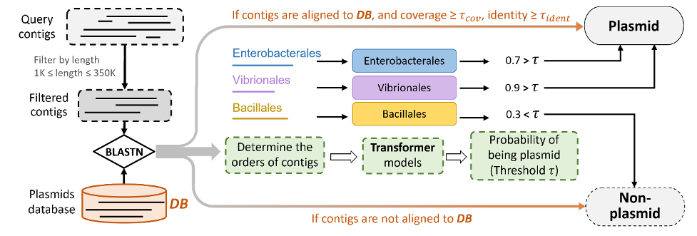 质粒片段识别（PLASMe）_密码子·生信云-零代码全自动，专注于微生物组分析